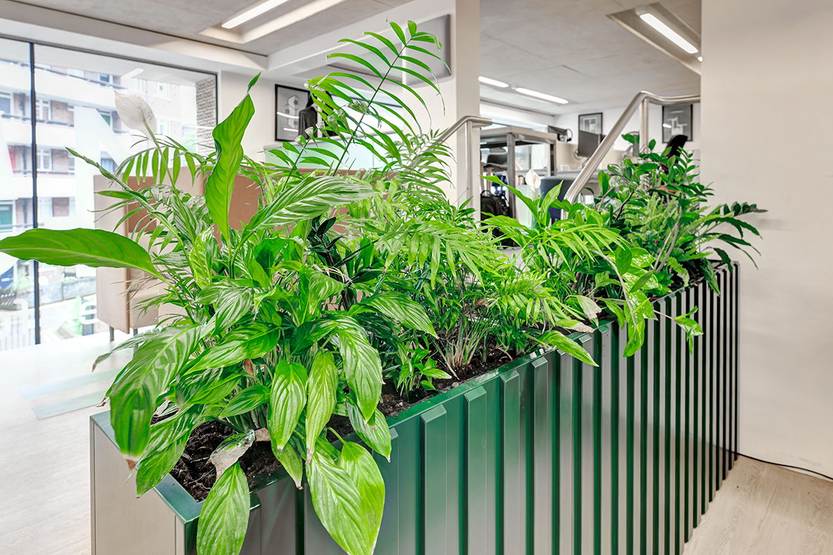 Flora & Fauna Indoor Planters Downloads : Flexiform